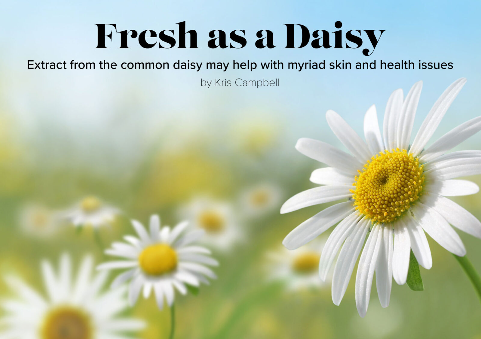 Fresh As A Daisy - Hale & Hush